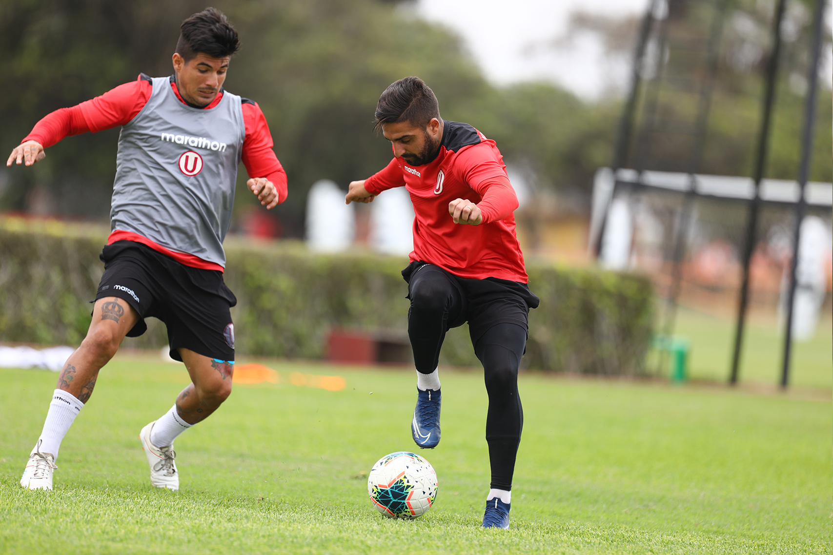 Club Universitario de Deportes