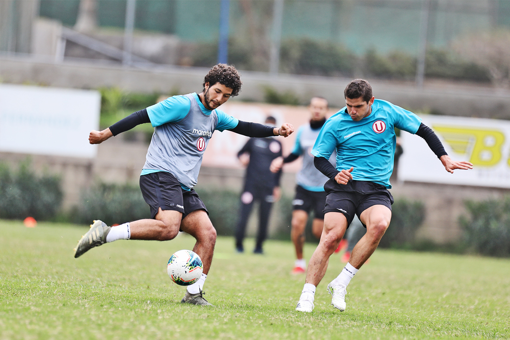 Club Universitario de Deportes